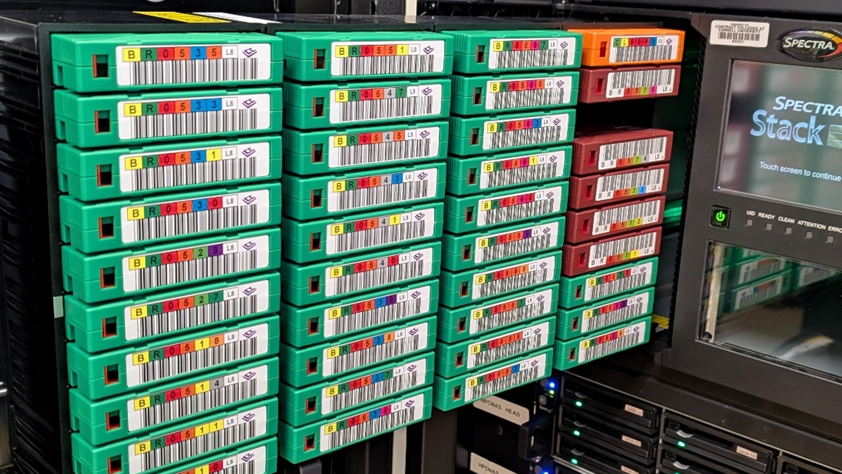 Contribute to BirdNET